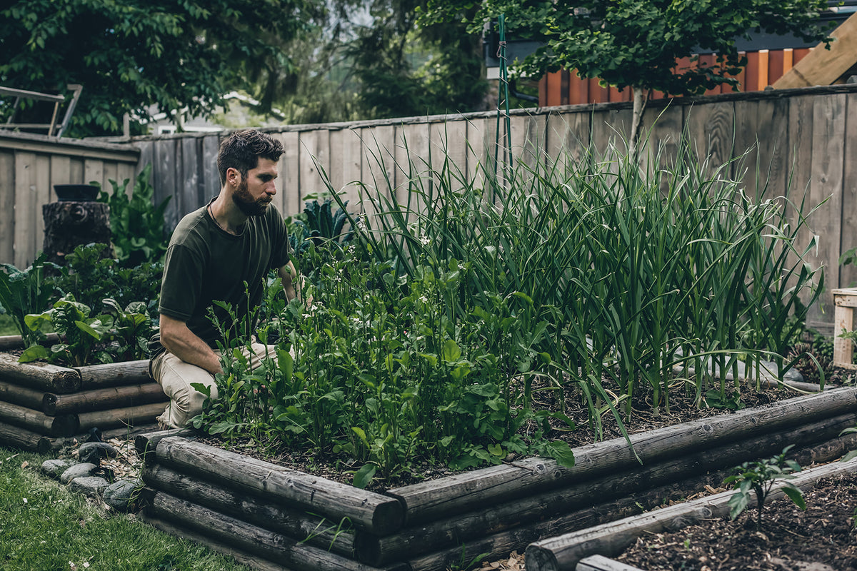 Mindful Gardening For Beginners - What is Mindful Gardening? – Mind & Soil