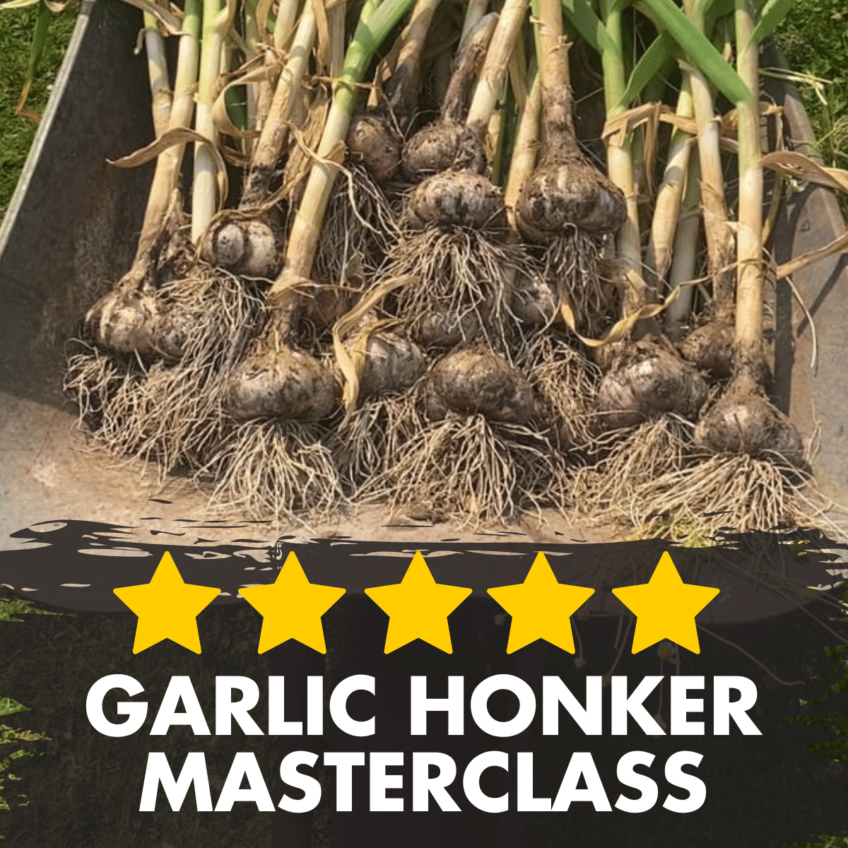 Garlic HONKER Masterclass – Mind & Soil